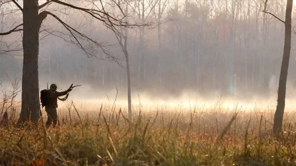 New York Hunting Seasons by Region – 2025 Game Overview New York Hunting Seasons by Region – 2025 Game Overview